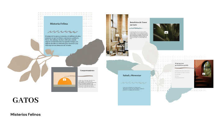 GATOS by Isabella Mejia Garro on Prezi