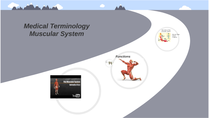 Medical Terminology-Muscular System by Rosemary Davis