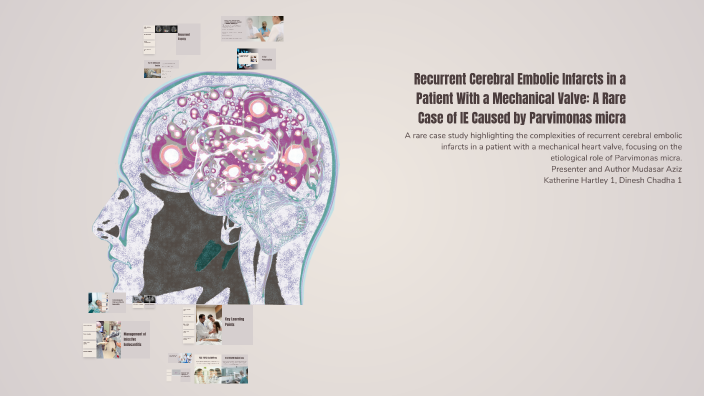 Recurrent Cerebral Embolic Infarcts in a Patient With a Mechanical ...