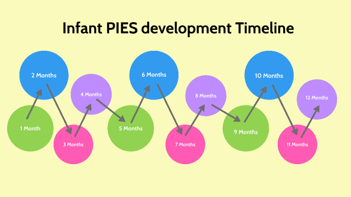 Infant PIES Development Timeline by Mattie Becker on Prezi