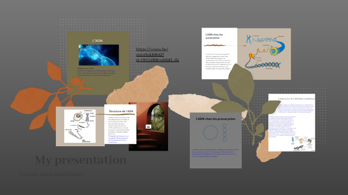 yass by yass yasmouna on Prezi