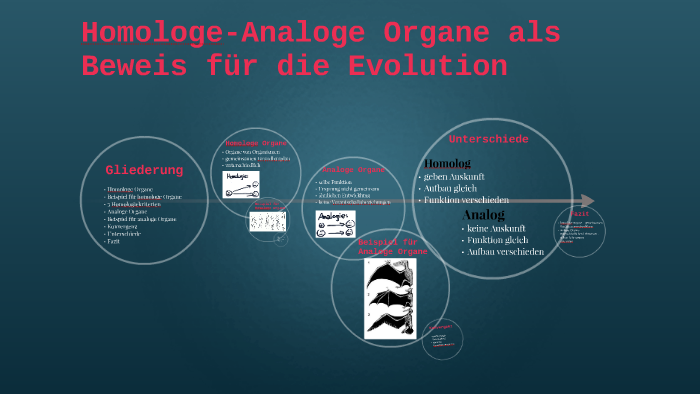Homologe-Analoge Organe by Cansu Ekinci on Prezi