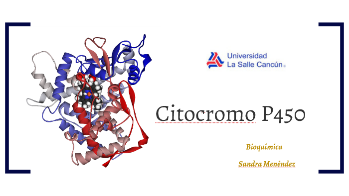 Citocromo P450 by Sandra Menéndez on Prezi