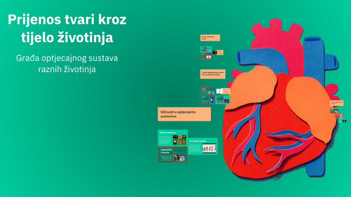 Prijenos tvari kroz tijelo životinja by Marko Percela on Prezi