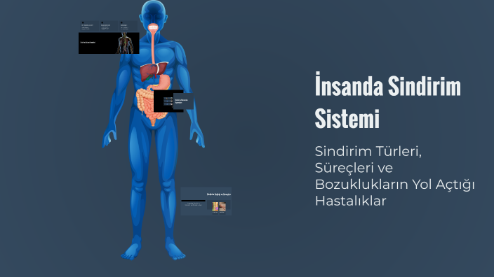 İnsanda Sindirim Sistemi by Enes Tok on Prezi