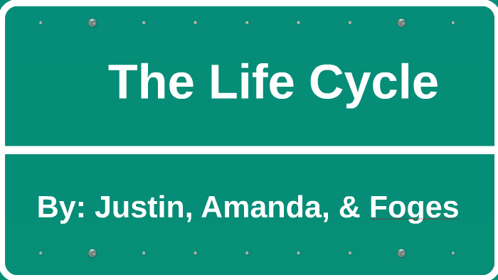 The Life Cycle by Amanda Green on Prezi