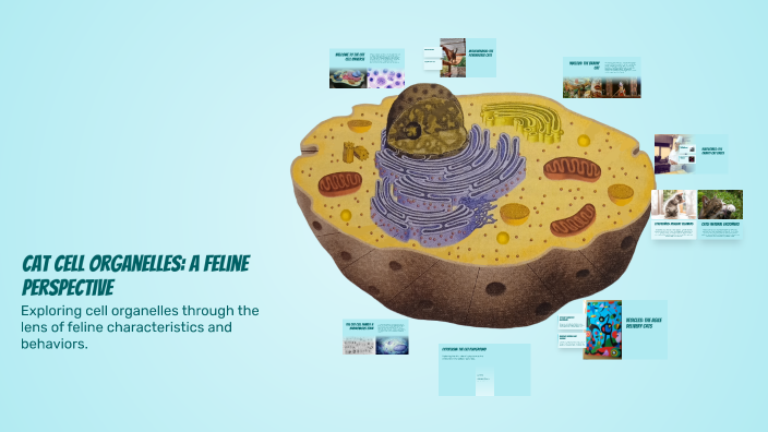 Cat Cell Organelles: A Feline Perspective by Zayne Luna on Prezi