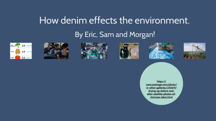 how denim effects the environment by Eric Cho on Prezi