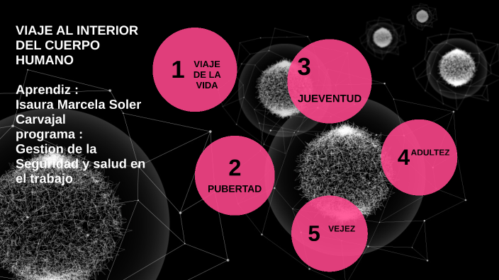 viaje al interior del cuerpo humano by marcela soler on Prezi