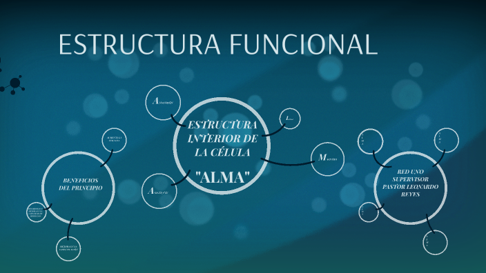 ESTRUCTURA FUNCIONAL by francisco gonzalez on Prezi