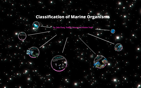 Classification of Marine Organisms by Kaitlyn Conway on Prezi