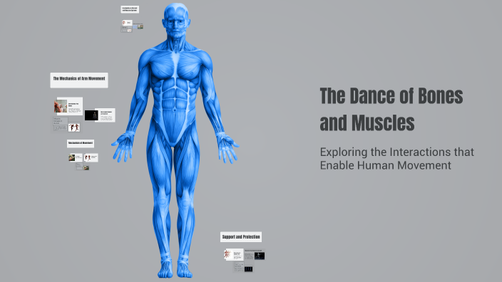 The Dance of Bones and Muscles by Kalea Penrod on Prezi