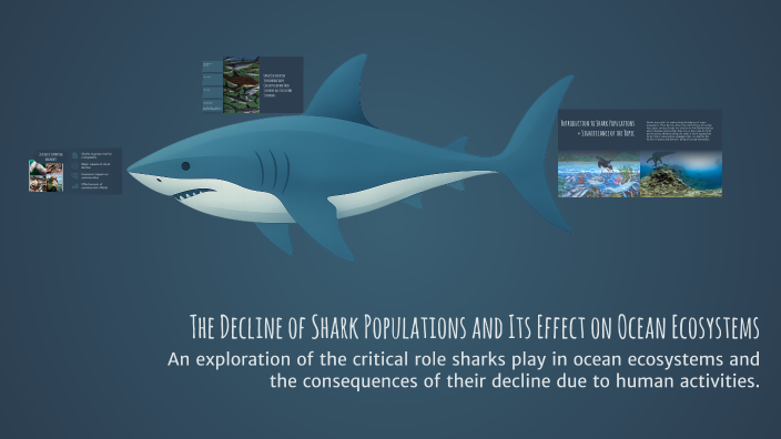The Decline of Shark Populations and Its Effect on Ocean Ecosystems by ...