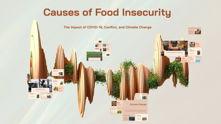 Causes of Food Insecurity by charlie dolahenty on Prezi