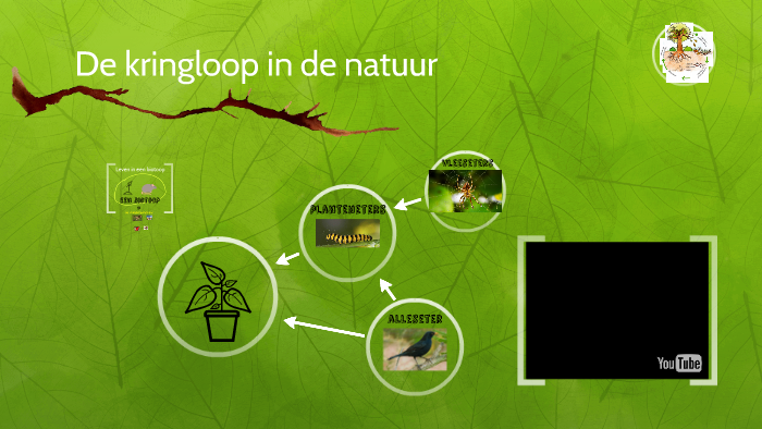 De kringloop in de natuur by Jochen Meeus on Prezi
