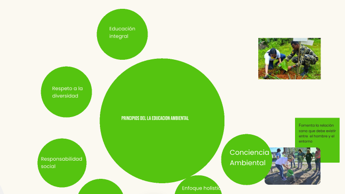 Principios de la Educación Ambiental by ELIA GIL on Prezi