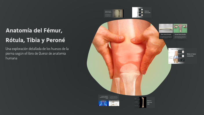 Anatomía del Fémur, Rótula, Tibia y Peroné by Estefanía Blanco Martínez ...