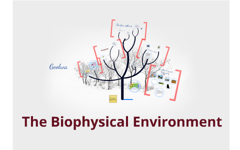 the biophysical environment by Hannah Shepheard on Prezi