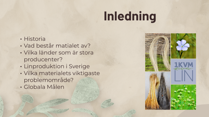 Linne: Material och Historia by Sara Al-Jashaami on Prezi