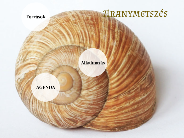 Aranymetszés by Boglárka Werner on Prezi