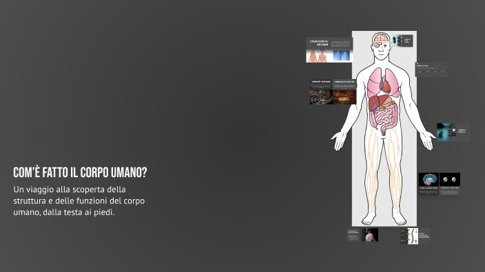 Com’è fatto il corpo umano? by Patrizia Bucci on Prezi