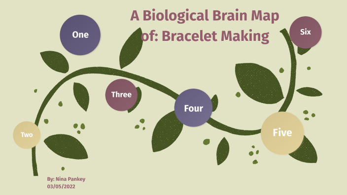 Biological Brain Map Project by Nina Pankey on Prezi