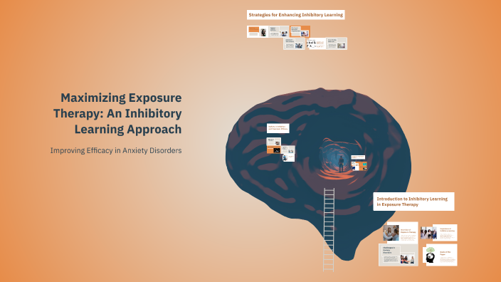 Maximizing Exposure Therapy: An Inhibitory Learning Approach by Eva Van ...