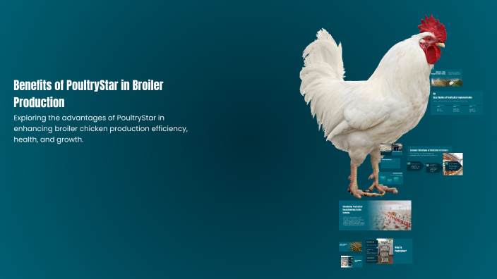 Benefits of PoultryStar in Broiler Production by Micah Juano on Prezi