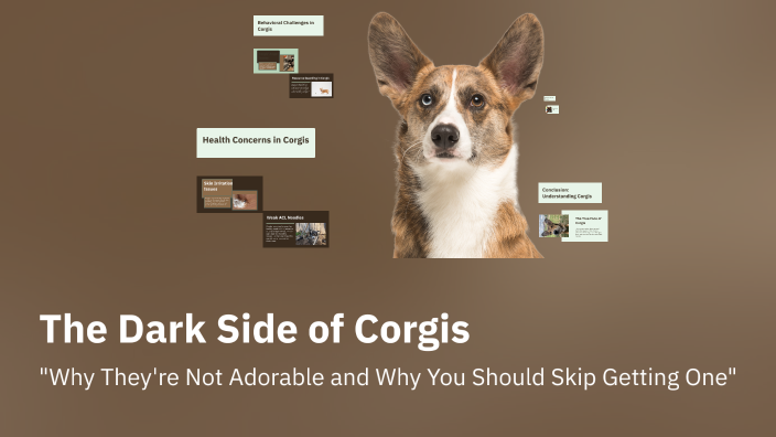 The Dark Side of Corgis by Emily Key on Prezi