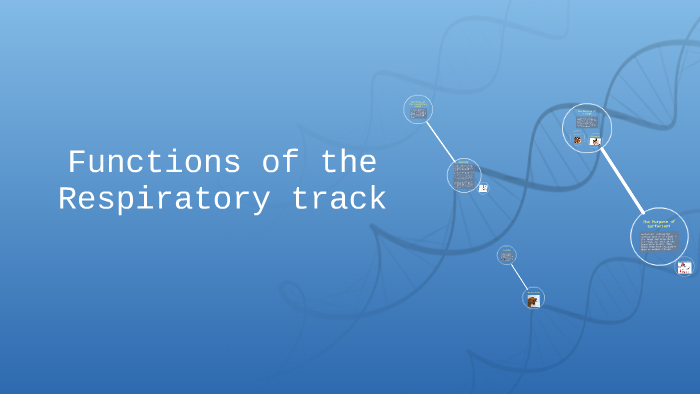 Functions of the Respiratory track by Katie Huber
