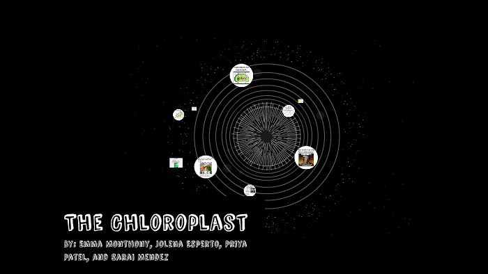 The Chloroplast by Emma Monthony on Prezi