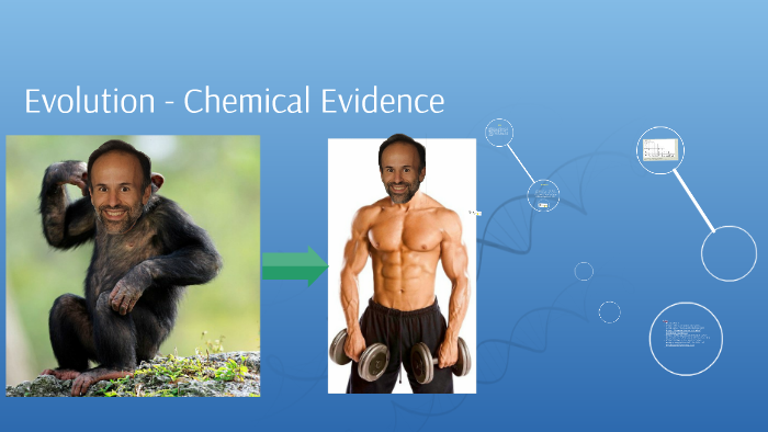Evolution - Chemical Evidence by Leah Jacobson
