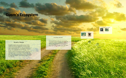 Guam's Ecosystem by Chelsea Doromal on Prezi