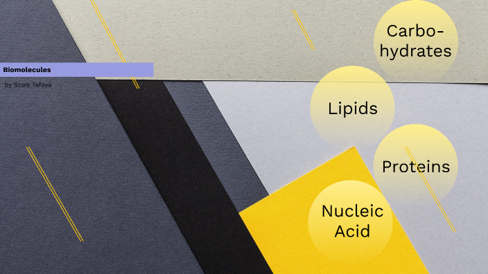Biomolecules by Scott Tafoya on Prezi