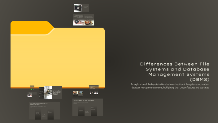 Differences Between File Systems and Database Management Systems (DBMS) by Abdul Raqib Hemat on ...
