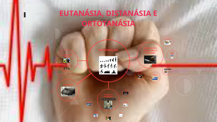 EUTANÁSIA, DISTANÁSIA E ORTOTANÁSIA by Rayanne pereira on Prezi