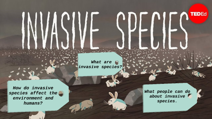 PSA Invasive species by Jason Pyatak on Prezi