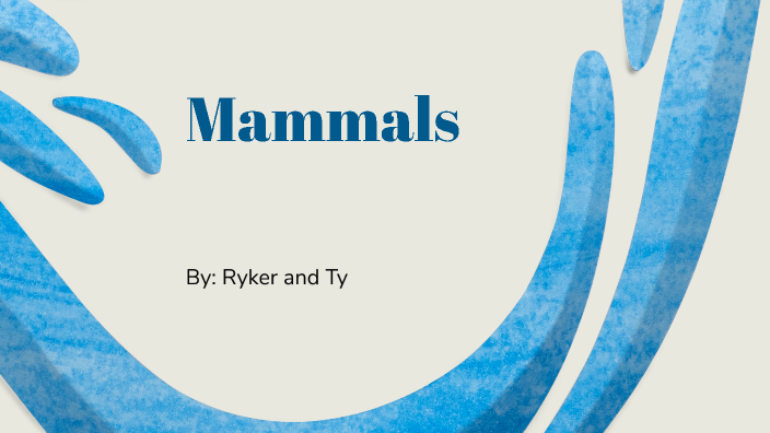 Mammals Prezi by ty gauthier on Prezi