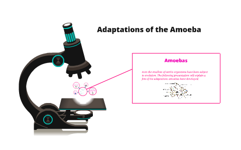 Adaptations of the Amoeba by jillian darakjy on Prezi