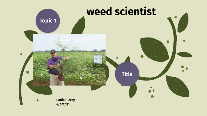 weed sicentsts by Collin Hickey on Prezi