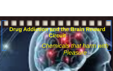 Drug Addiction and the Brain Reward Circuit by sheen mae on Prezi