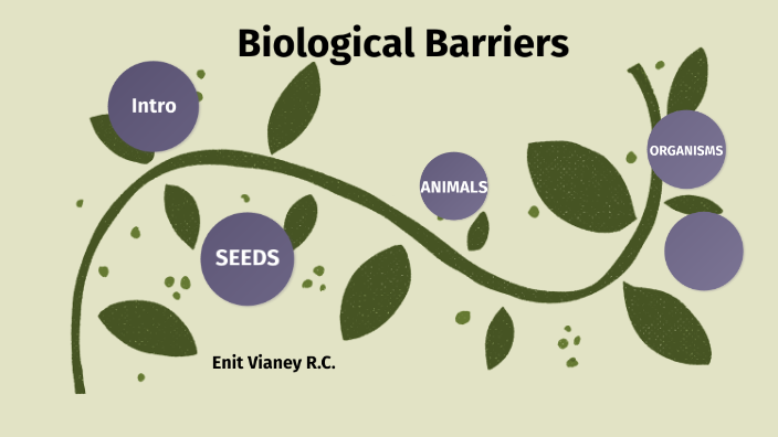 BIOLOGICAL BARRIERS AND PATHWAYS by vianey ramirez on Prezi