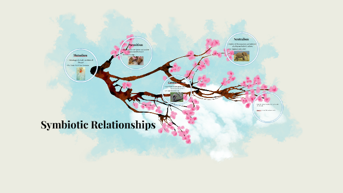 Symbiotic Relationships by Diana Henrickson on Prezi