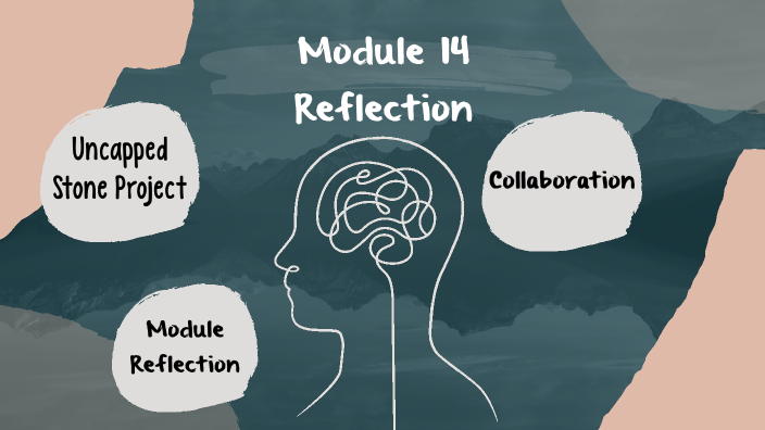 Module 14 - Reflection by Sasha Dugan on Prezi