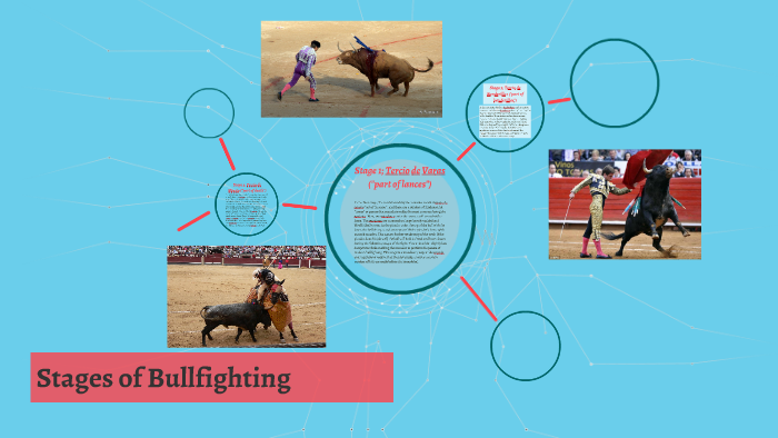 Stages of Bullfighting by Bradley Couch on Prezi