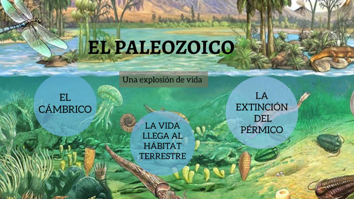 EL PALEOZOICO by Andrea González de la Aleja on Prezi