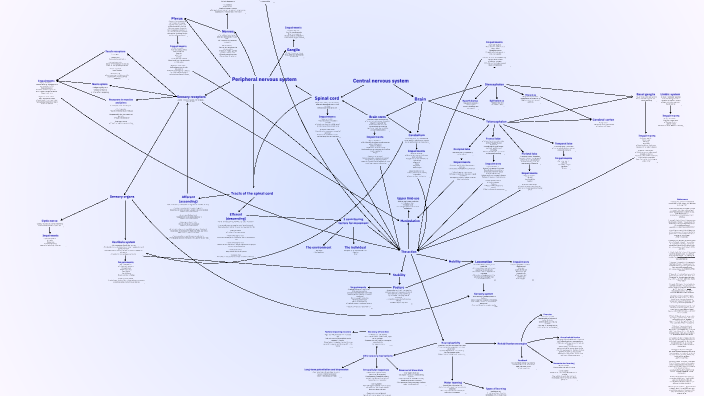 Neuro Mind Map by Isabelle Verrills on Prezi