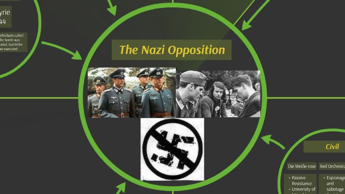 The Nazi Opposition by ryan kelly