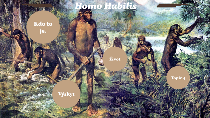 Homo Habilis by Ondra Josiek on Prezi