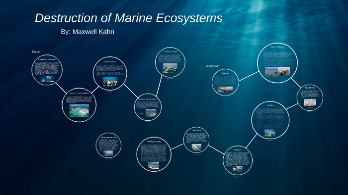 Destruction of Marine Ecosystems by Maxwell Kahn on Prezi